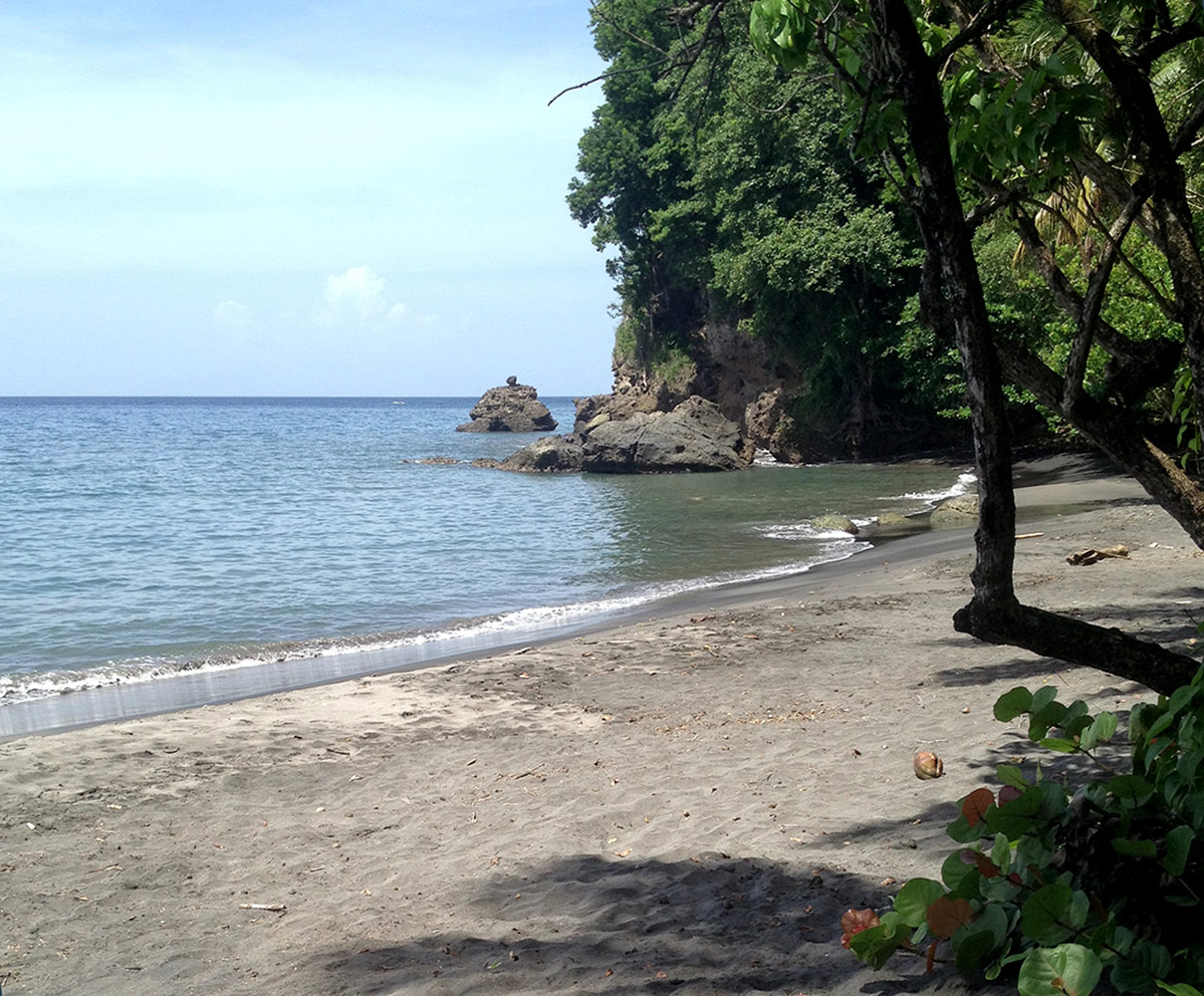 Anse Céron - Martinique Active