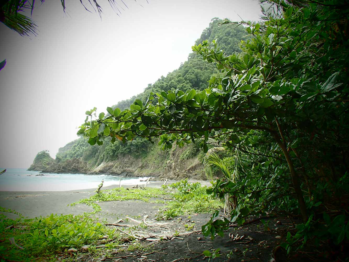 Le Prêcheur - Martinique Active