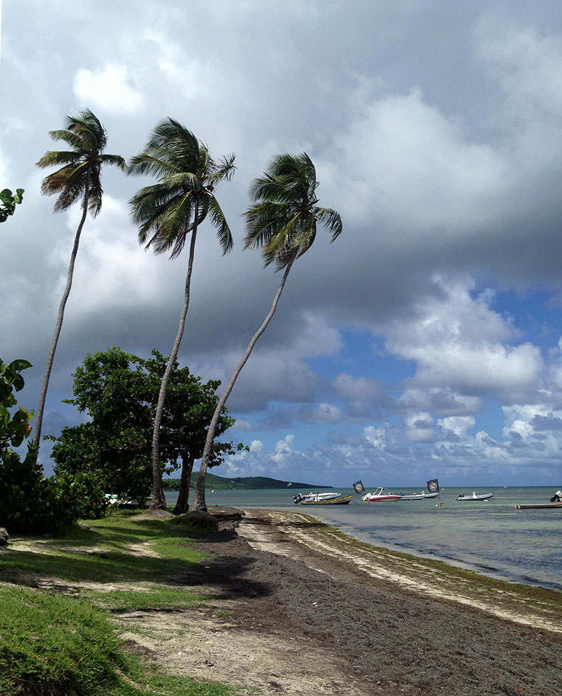 Die Pointe Faula - Martinique Active