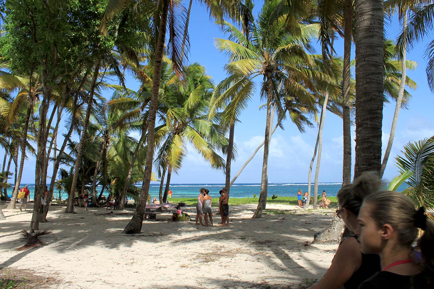 Cap Chevalier - Baie des Anglais - Martinique Active