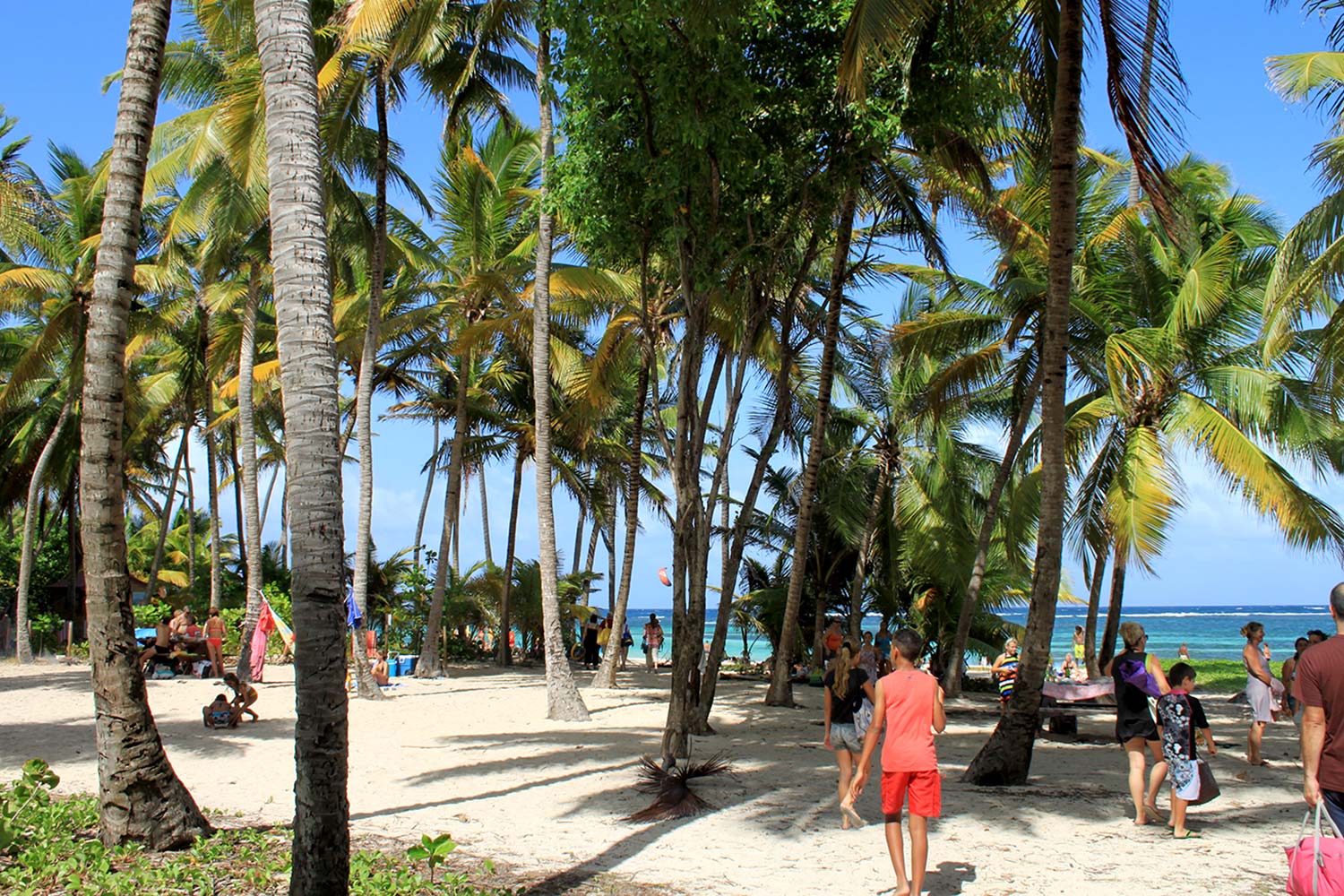 Cap Chevalier - Martinique Active