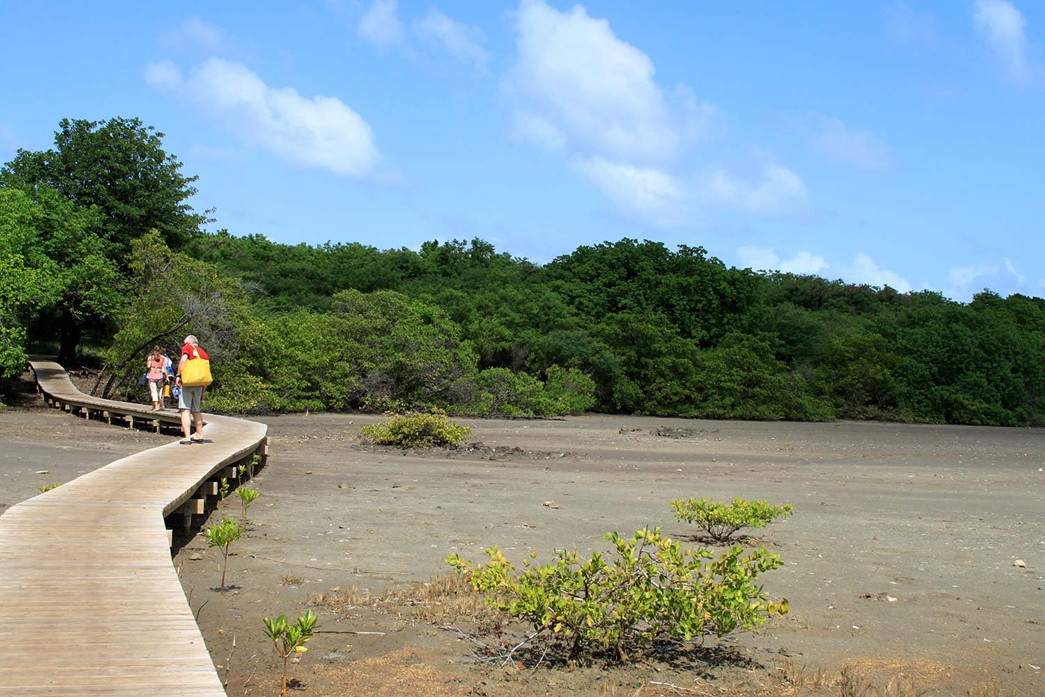 Cap Chevalier - Baie des Anglais - Martinique Active
