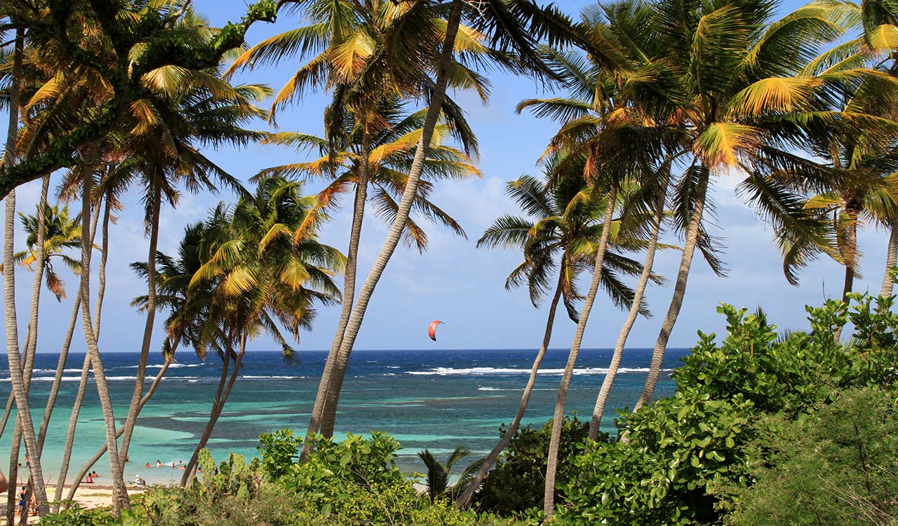 Cap Chevalier - Baie des Anglais - Martinique Active