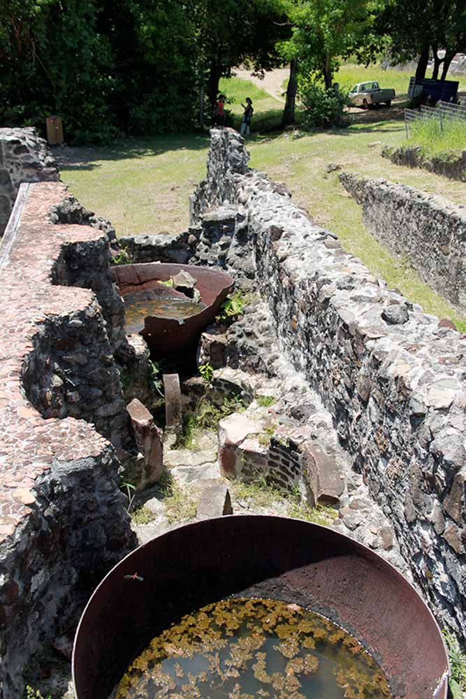Château Dubuc - Martinique Active