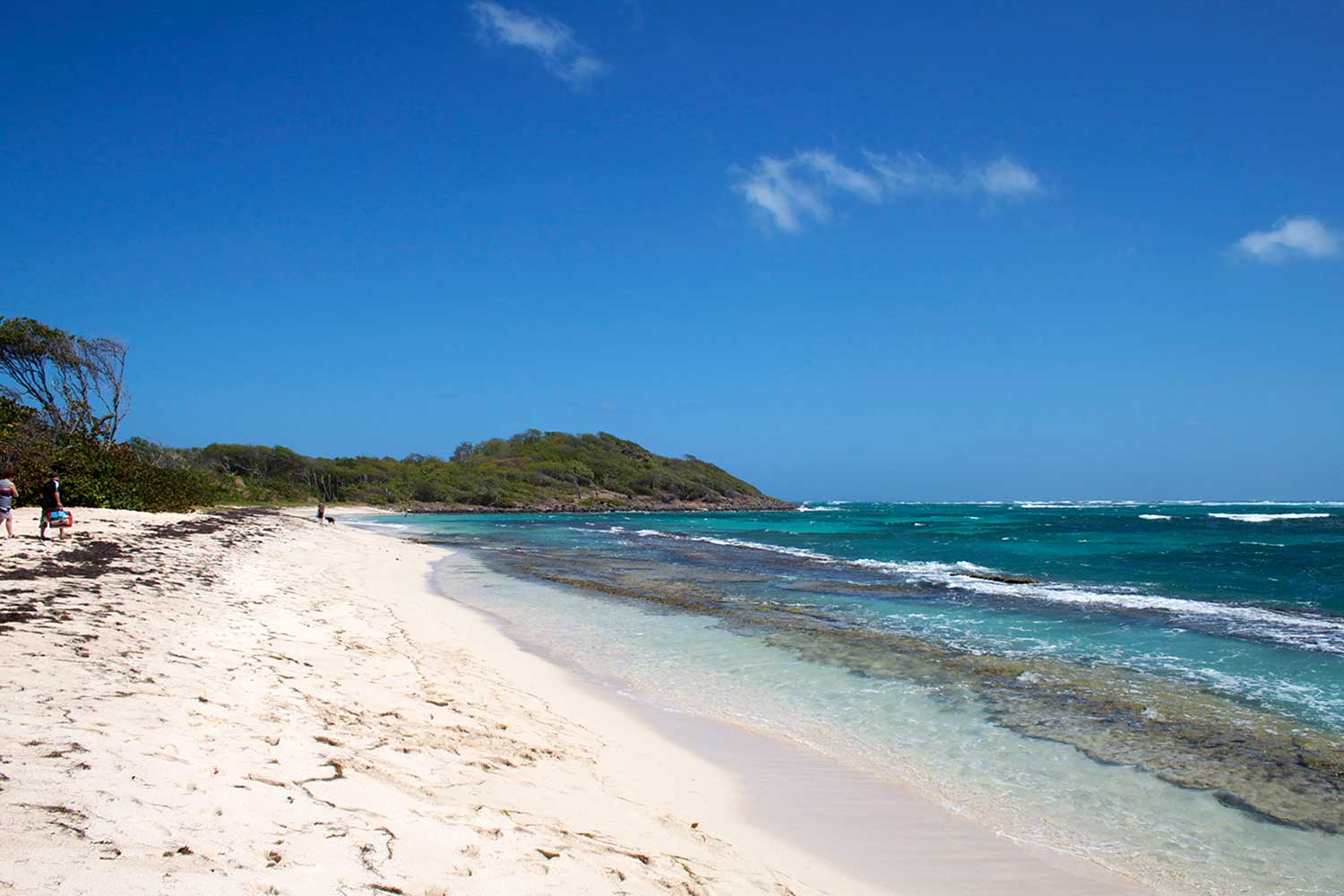 Cap Chevalier - Baie des Anglais - Martinique Active