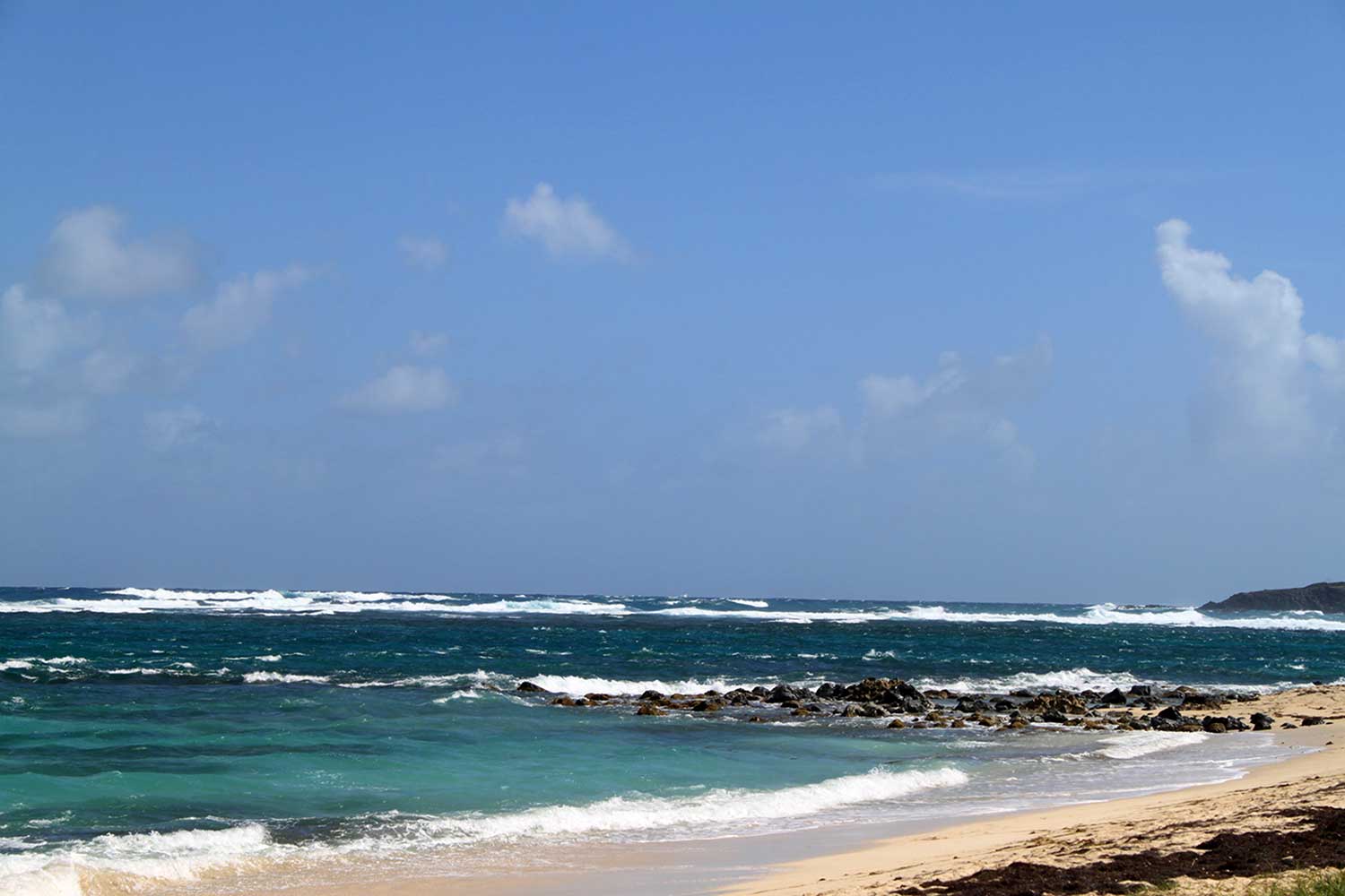 Cap Chevalier - Baie des Anglais - Martinique Active