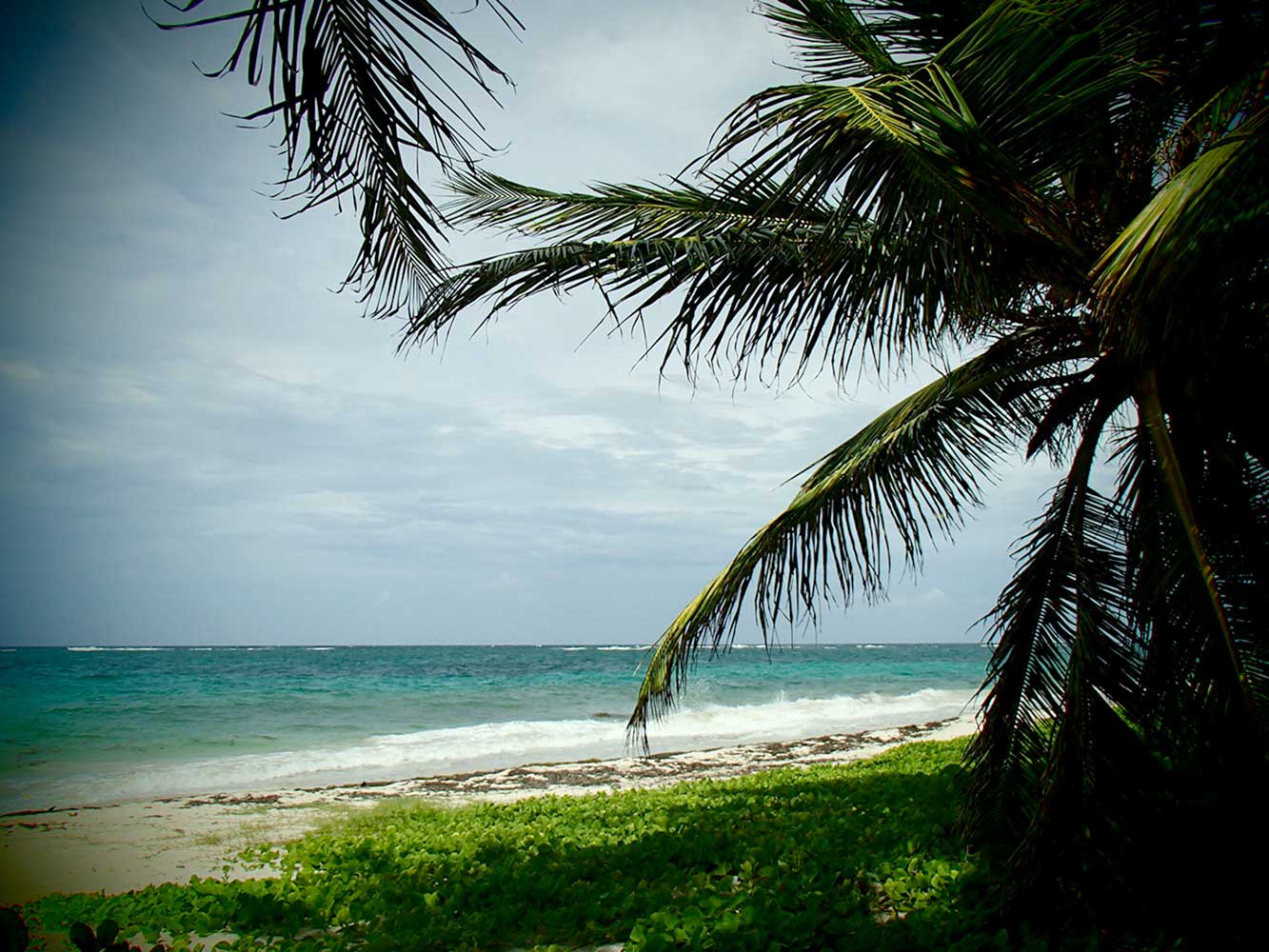 Cap Macré - Cap Chevalier - Martinique Active