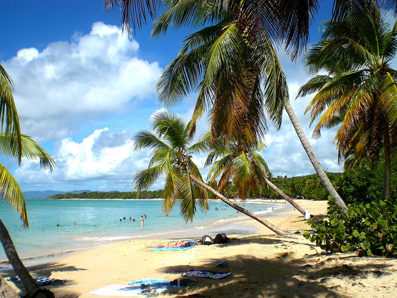 Anse Caritan - Salines - Martinique Active
