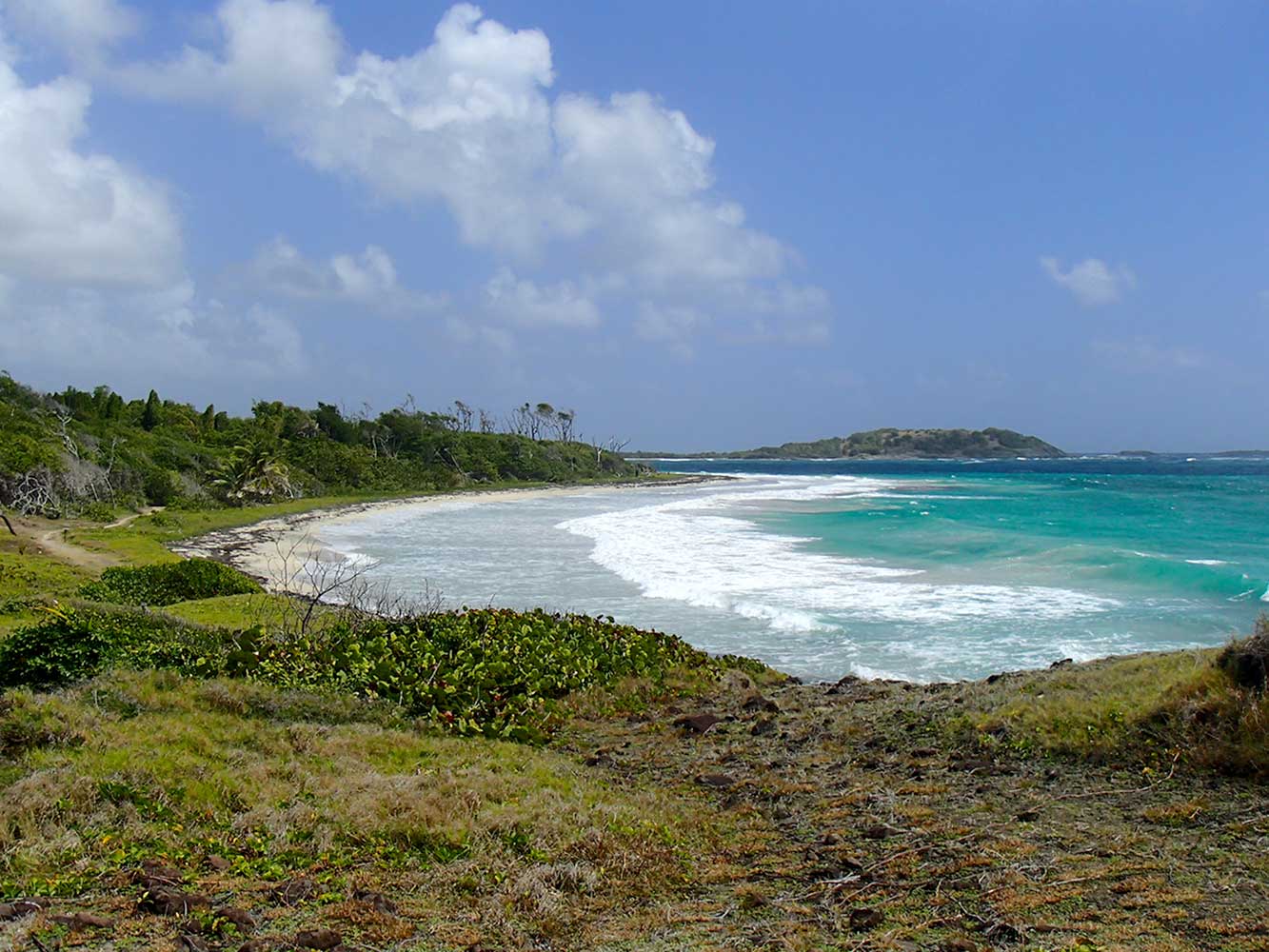 Anse Trabaud - Martinique Active