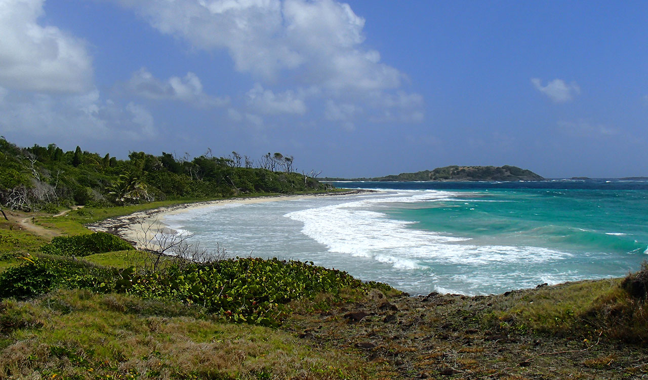 Anse Trabaud - Salines - Martinique Active