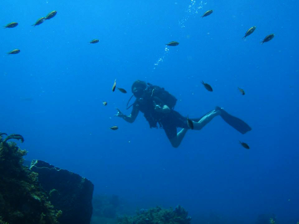 Corail Club Caraïbes - Martinique Active